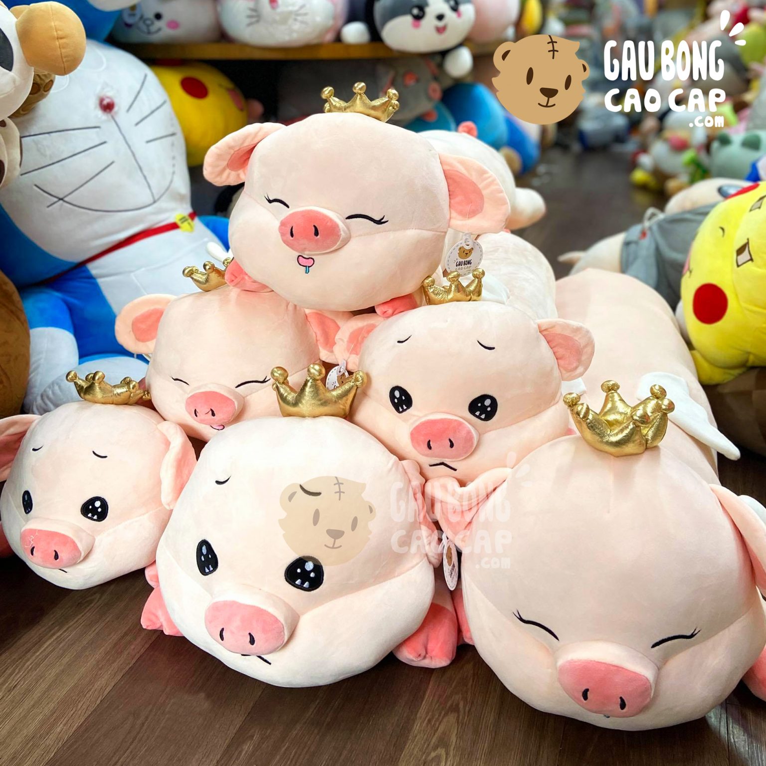 Heo Bông nằm lông mịn đội vương miệng - Shop Heo Bông - gaubongcaocap.com