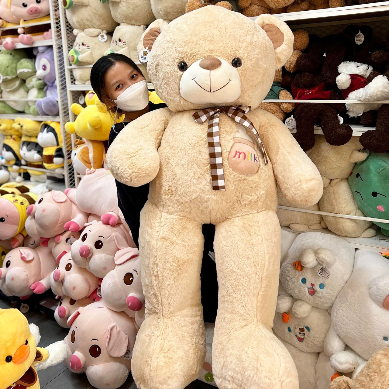 Teddy Smooth Đeo Nơ ngực thêu Bình Sữa - Shop GẤU BÔNG TEDDY ...