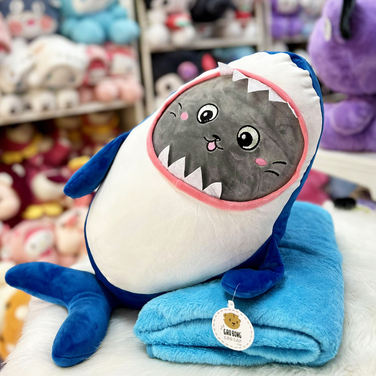 Mèo Bông cosplay Cá Mập có mền 2in1 - Shop Mèo Bông - gaubongcaocap.com